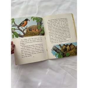 Other | Animals And Their Young By Glenn O Blough Vintage 1959 ...